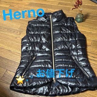 HERNO(ダウンベスト)のフリマアイテム一覧 HERNO(ダウンベスト)のフリマアイテム一覧