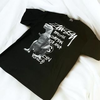 STUSSY - STUSSY ステューシー 23SS KITTENS 猫 バックロゴ STUSSY - STUSSY ステューシー 23SS KITTENS 猫 バックロゴ