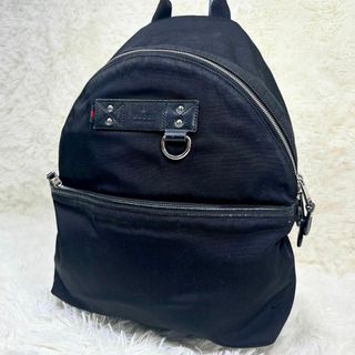 GUCCI - ☆新品未使用☆GUCCI ブルームス バックパック スモール GUCCI - ☆新品未使用☆GUCCI ブルームス バックパック スモール