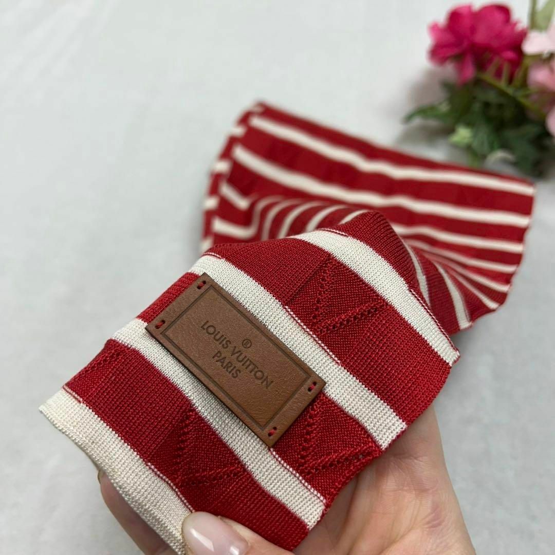 LOUIS VUITTON - F510 新品未使用 ルイヴィトン ボーダー LOUIS VUITTON - F510 新品未使用 ルイヴィトン ボーダー