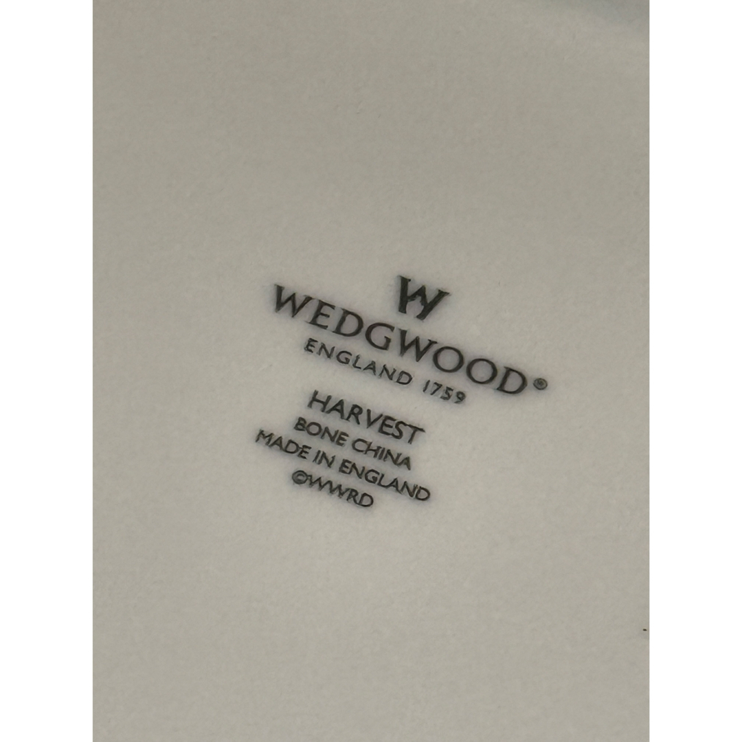 WEDGWOOD - 未使用!!【ウェッジウッド オーバルディッシュ 皿 WEDGWOOD - 未使用!!【ウェッジウッド オーバルディッシュ 皿