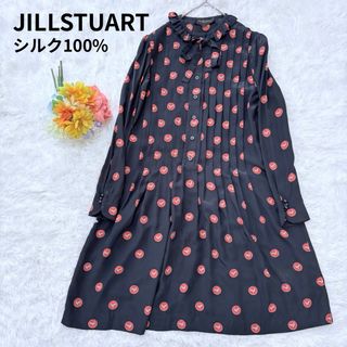 JILLSTUART - ジルスチュアート シルク100% ロングワンピース JILLSTUART - ジルスチュアート シルク100% ロングワンピース