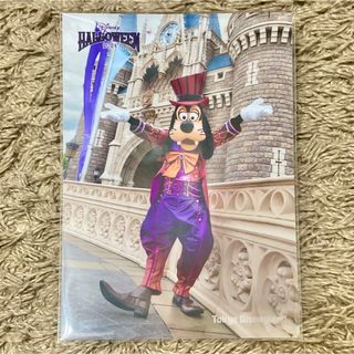 Disney - ディズニー Today トゥデイ パンフレット ディズニー Disney - ディズニー Today トゥデイ パンフレット ディズニー