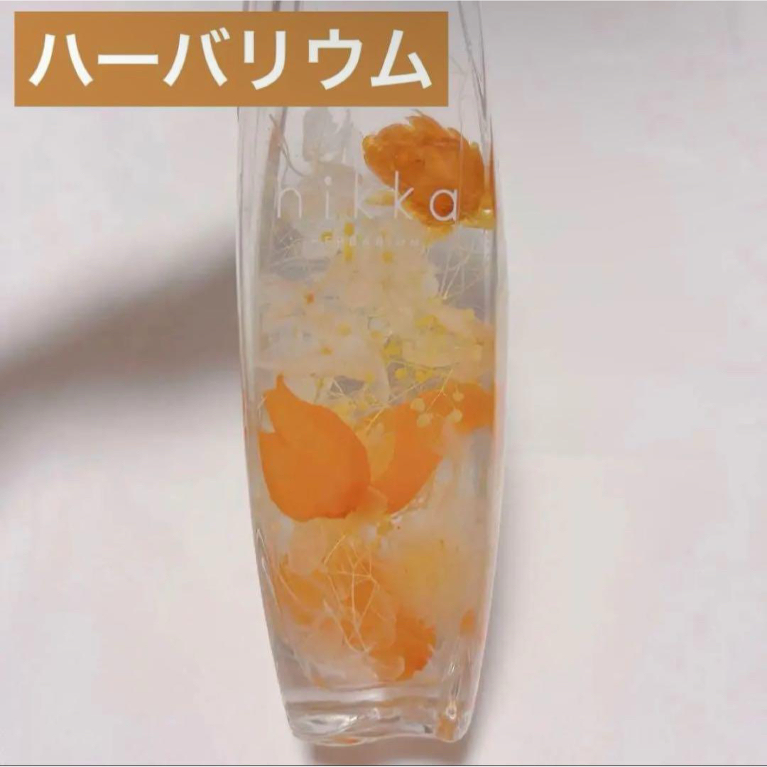 ○ハーバリウム オレンジ hikka ヒッカ ギフト プレゼント 記念 ○ハーバリウム オレンジ hikka ヒッカ ギフト プレゼント 記念