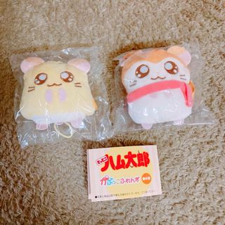 小学館 - 希少 タッチ 浅倉南 あだち充先生直筆サイン色紙の通販 小学館 - 希少 タッチ 浅倉南 あだち充先生直筆サイン色紙の通販